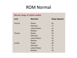 Pemeriksaan Columna Vertebralis dan Fungsi Luhur.pptx