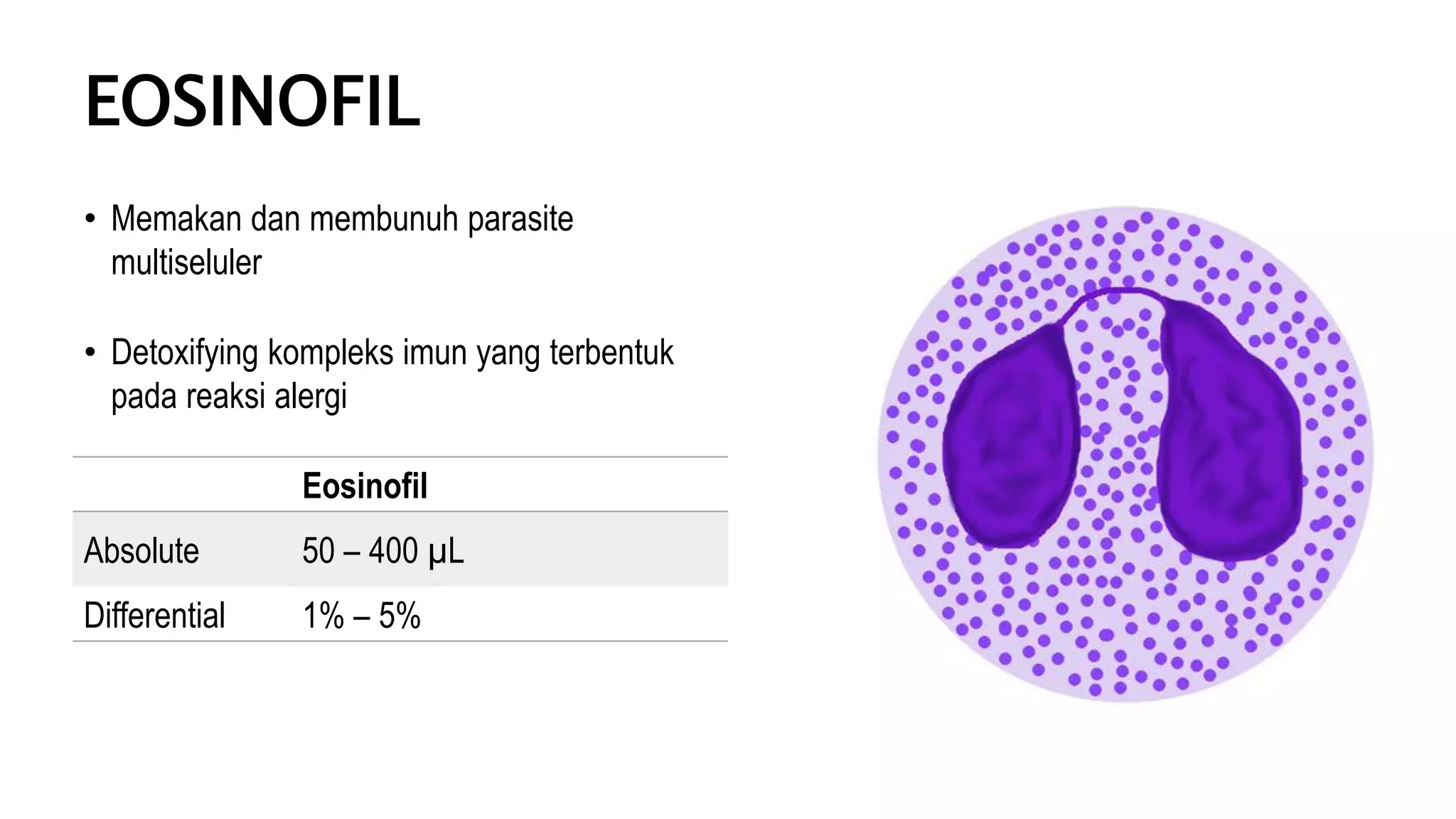 Pemeriksaan Darah Lengkap (CBC) | PPTX