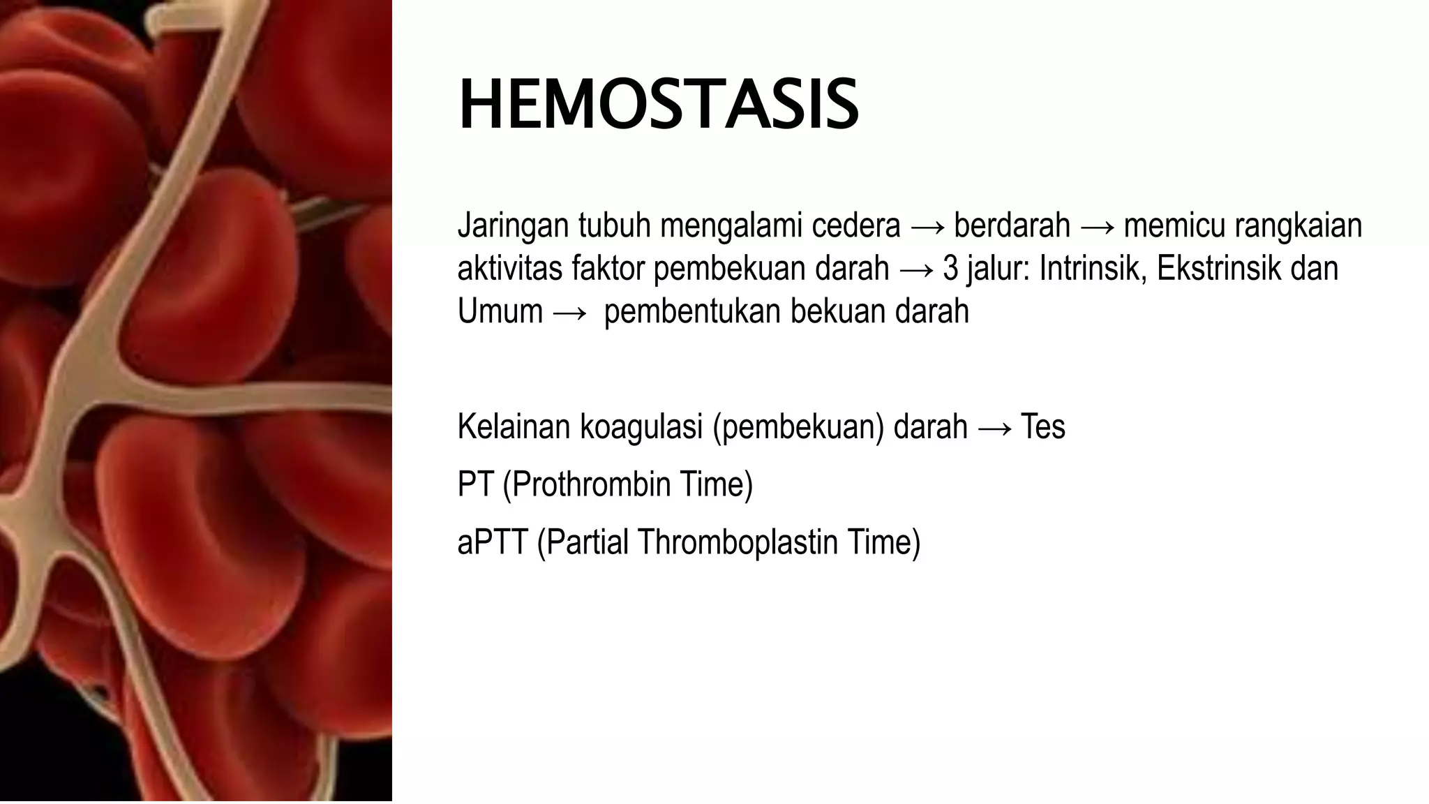 Pemeriksaan Darah Lengkap (CBC) | PPTX
