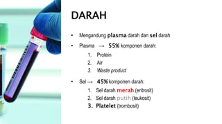 Pemeriksaan Darah Lengkap (CBC) | PPTX