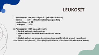 PEMERIKSAAN DARAH TEPI menggunakan apusan darah | PPTX