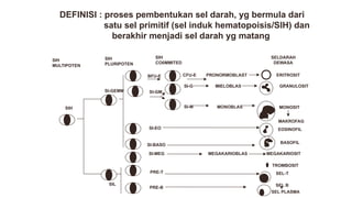 PEMERIKSAAN DARAH TEPI menggunakan apusan darah | PPTX