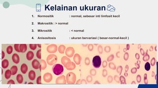 PEMERIKSAAN DARAH TEPI menggunakan apusan darah | PPTX