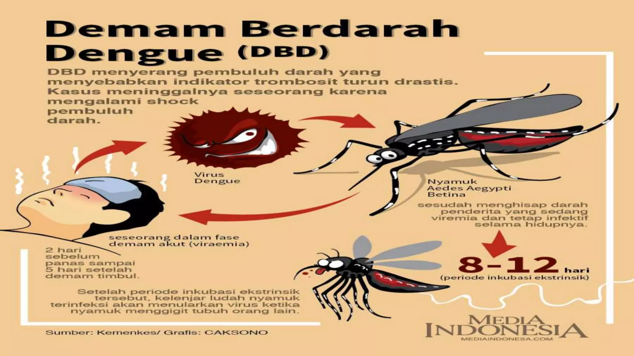 Pemeriksaan demam berdarah dengue (ns1) | PPTX