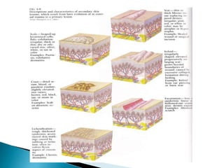 konsep dasar Pemeriksaan fisik, Herianto,Skep,Ns | PPTX