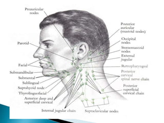 konsep dasar Pemeriksaan fisik, Herianto,Skep,Ns | PPTX