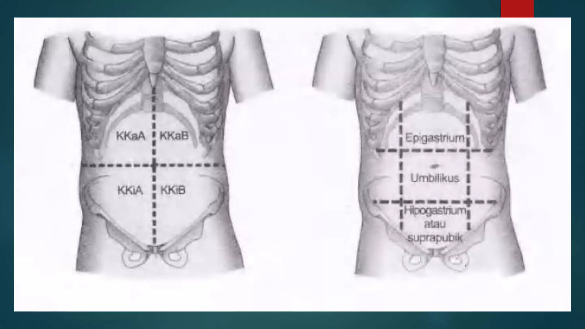 Pemeriksaan fisik abdomen | PPTX