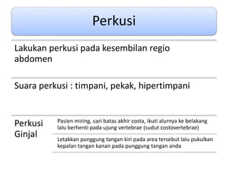 Pemeriksaan Fisik Abdomen_Ni Kadek Yuni L | PPTX