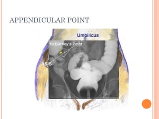Pemeriksaan fisik abdomen anang | PPT