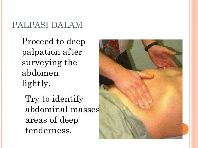 Pemeriksaan fisik abdomen anang