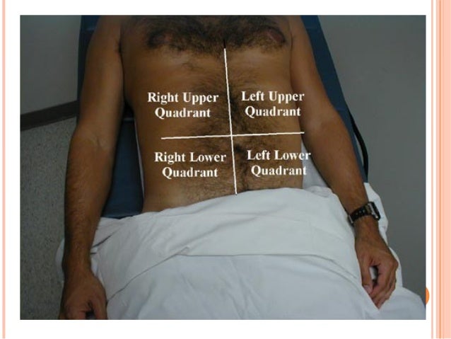 Pemeriksaan fisik abdomen anang