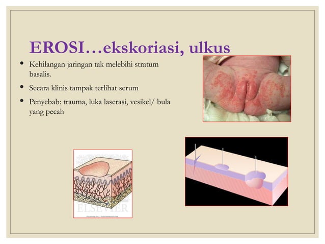 pemeriksaan fisik diagnostik kulit pada dermatologi | PPT