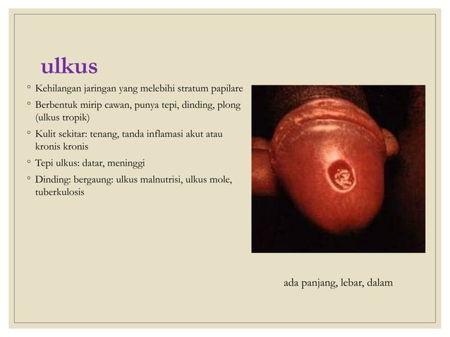 pemeriksaan fisik diagnostik kulit pada dermatologi | PPT