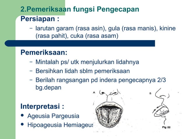 Pemeriksaan fisik gangguan sistem persarafan | PDF