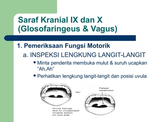 Pemeriksaan fisik gangguan sistem persarafan | PDF