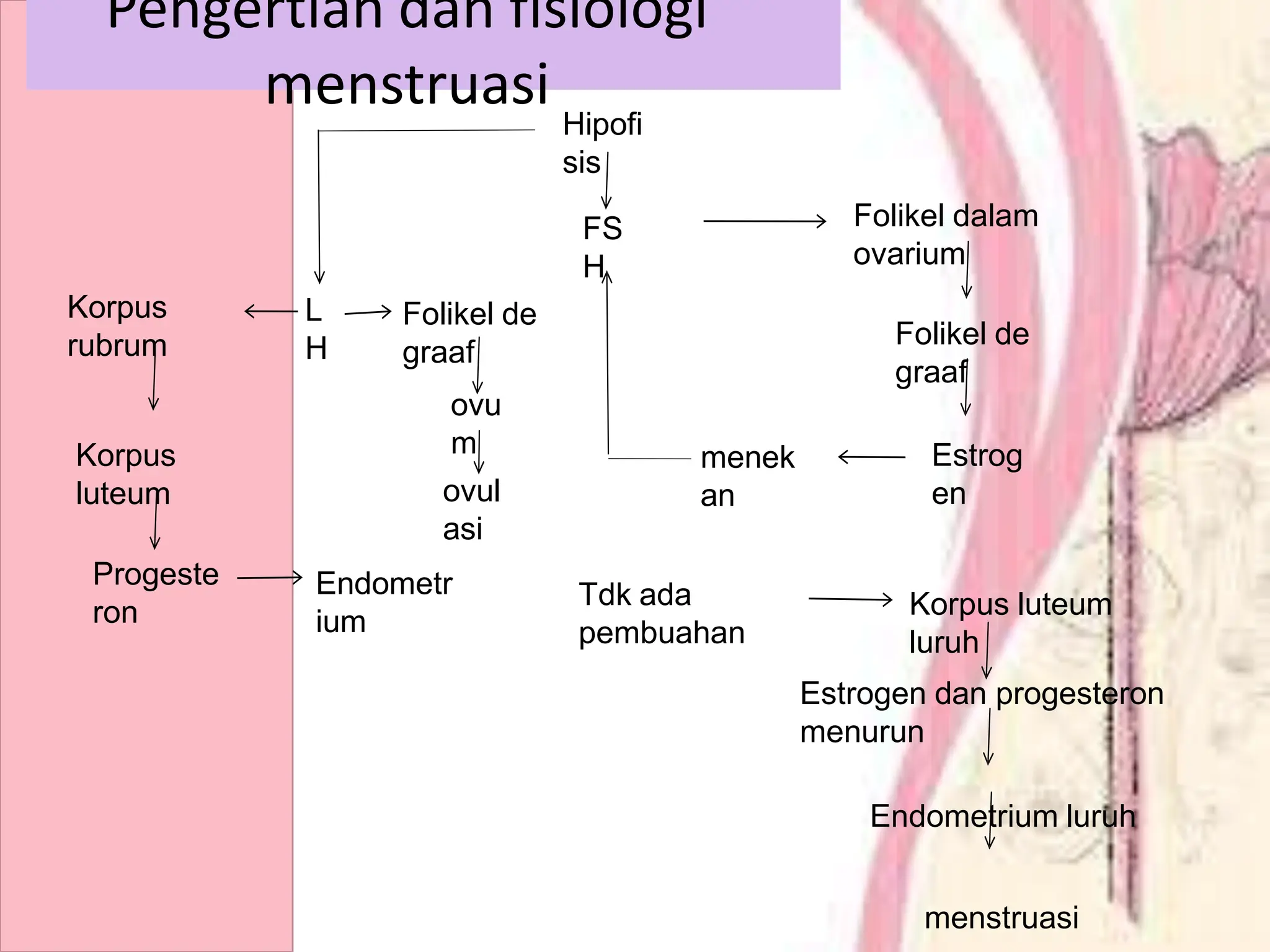 Kesehatan Reproduksi Remaja-Menstruasi 1 | PPTX