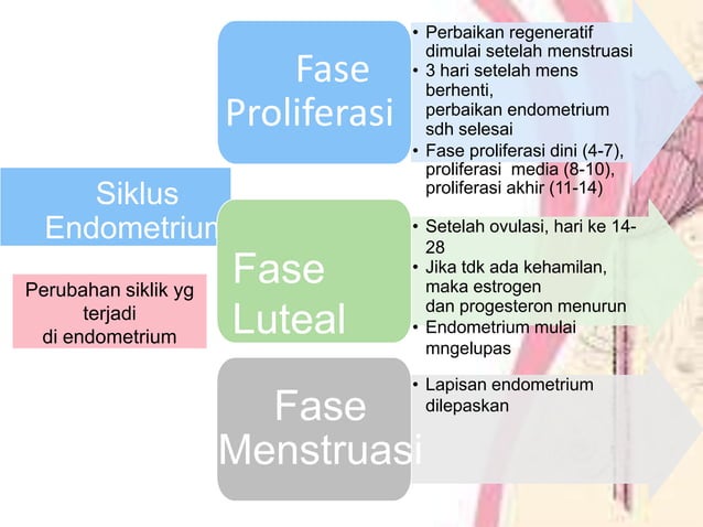 Kesehatan Reproduksi Remaja-Menstruasi 1 | PPT