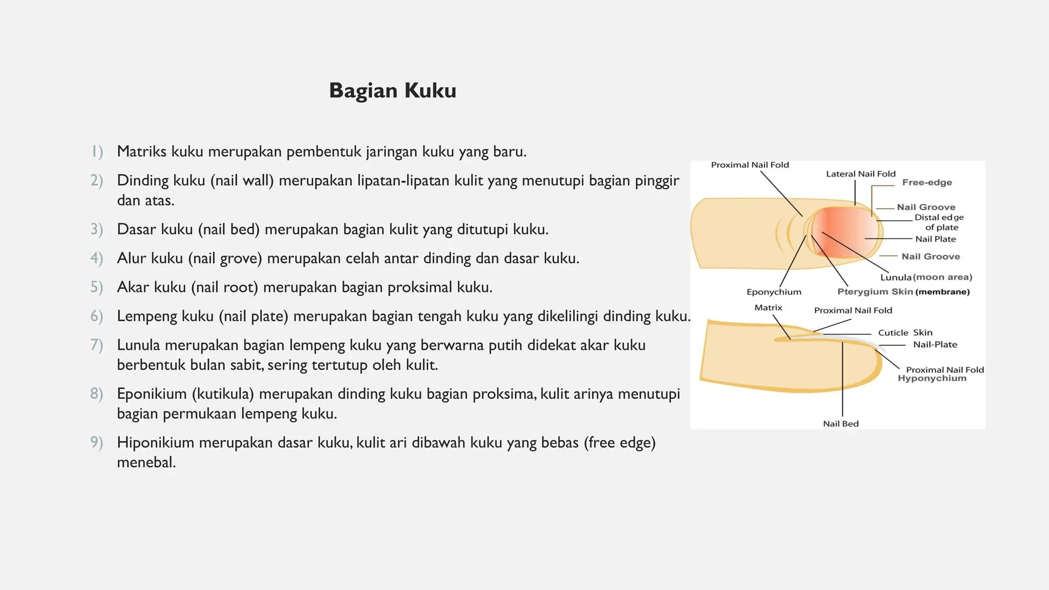 Pemeriksaan Fisik Pada Sistem Integumen.pptx