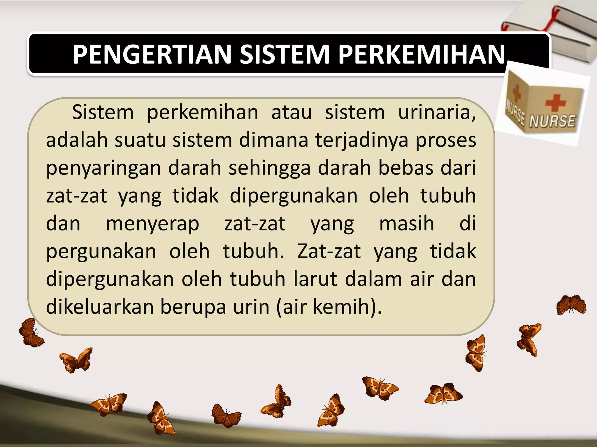 Pemeriksaan fisik sistem perkemihan | PPTX