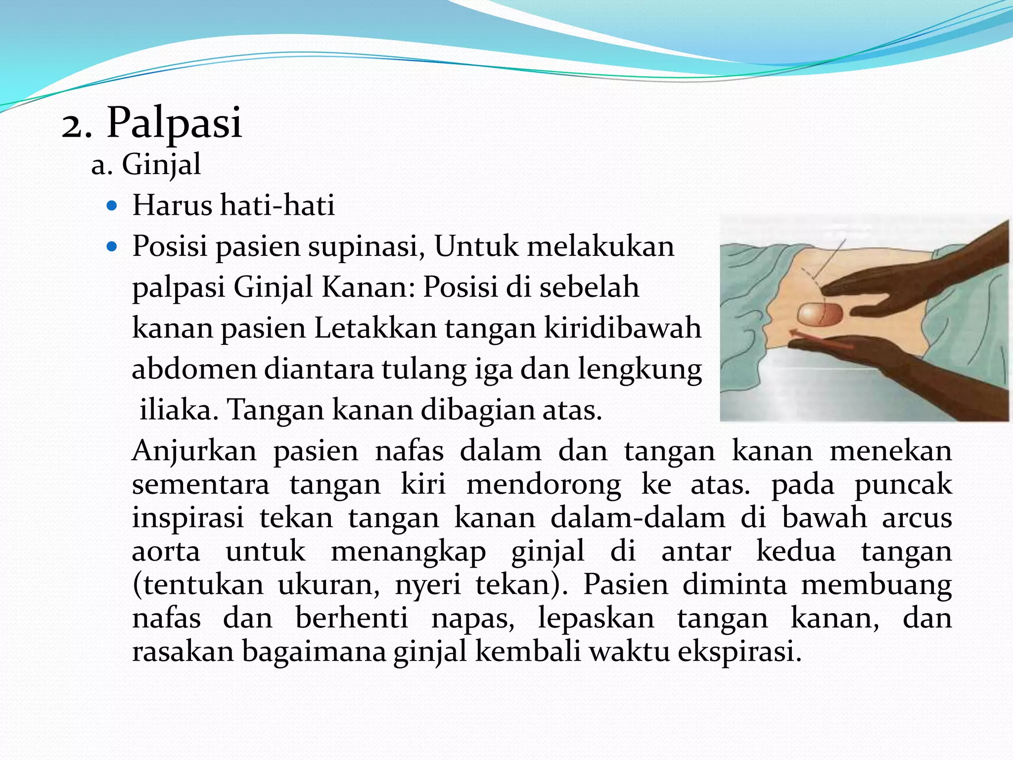 Pemeriksaan fisik sistem perkemihan | PPTX