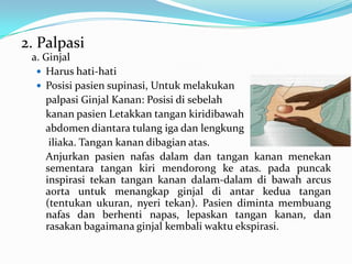 Pemeriksaan fisik sistem perkemihan | PPTX