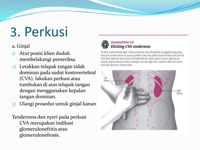 Pemeriksaan fisik sistem perkemihan