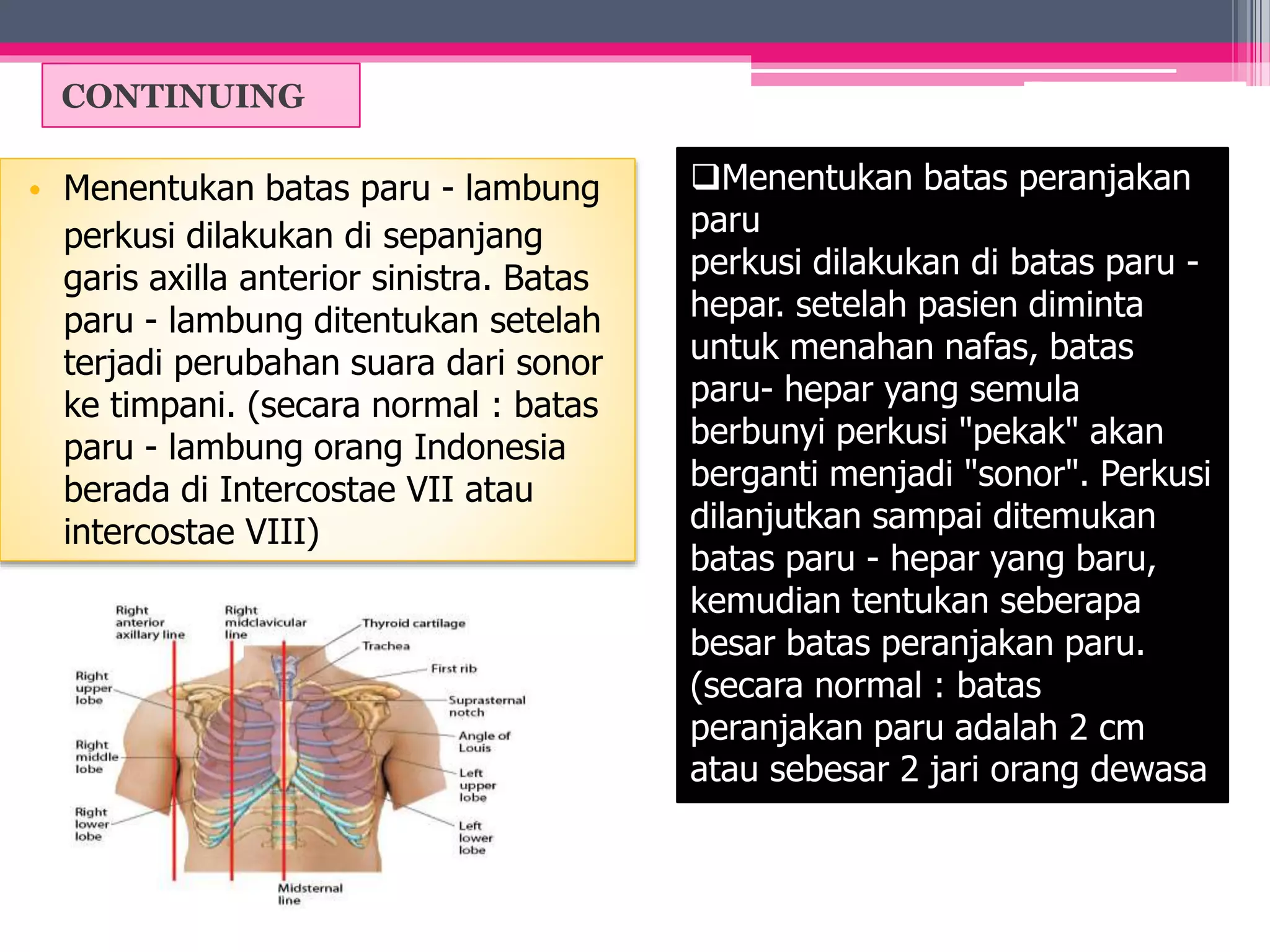 Pemeriksaan fisik thorax | PPTX