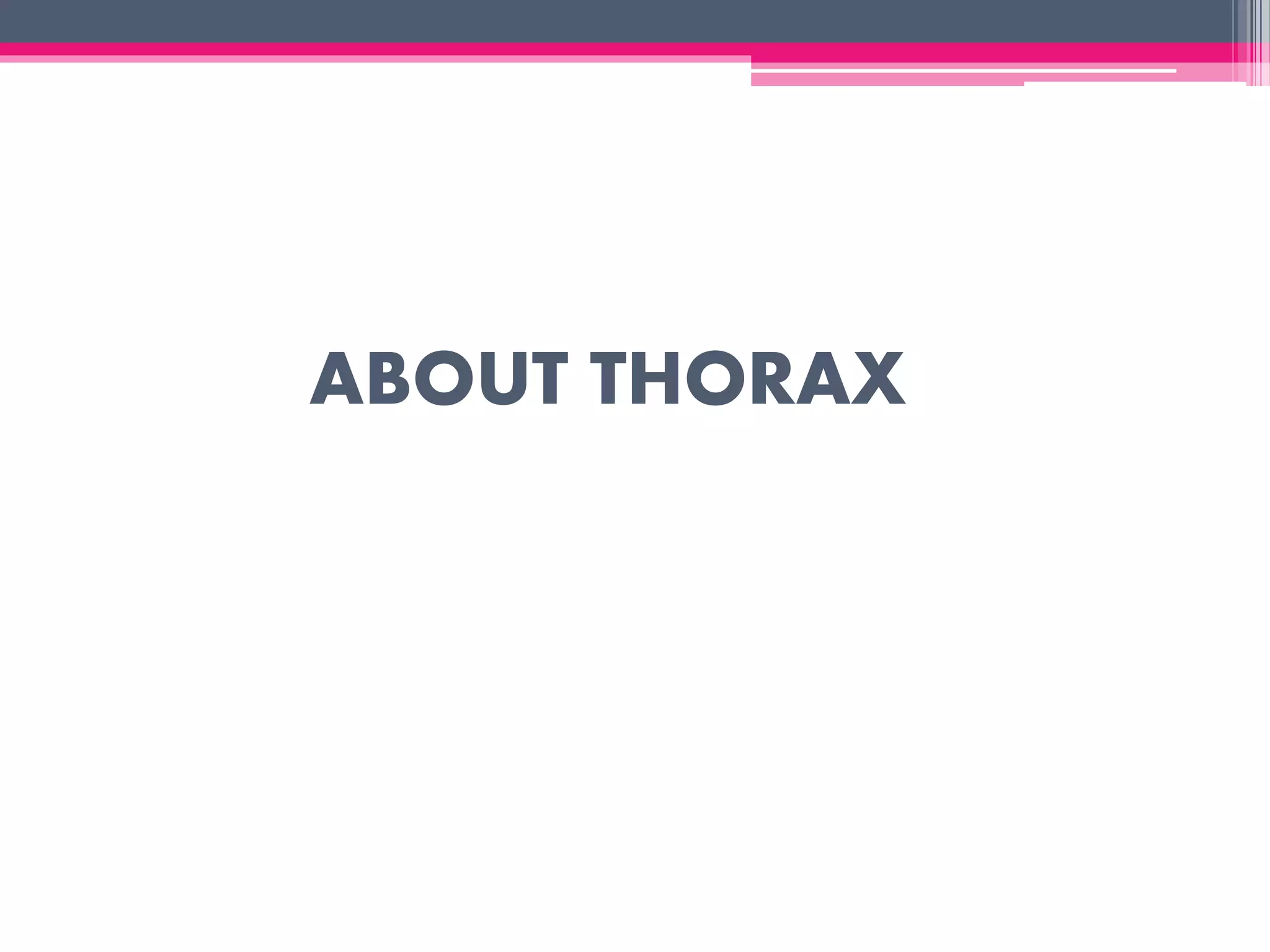 Pemeriksaan fisik thorax | PPTX