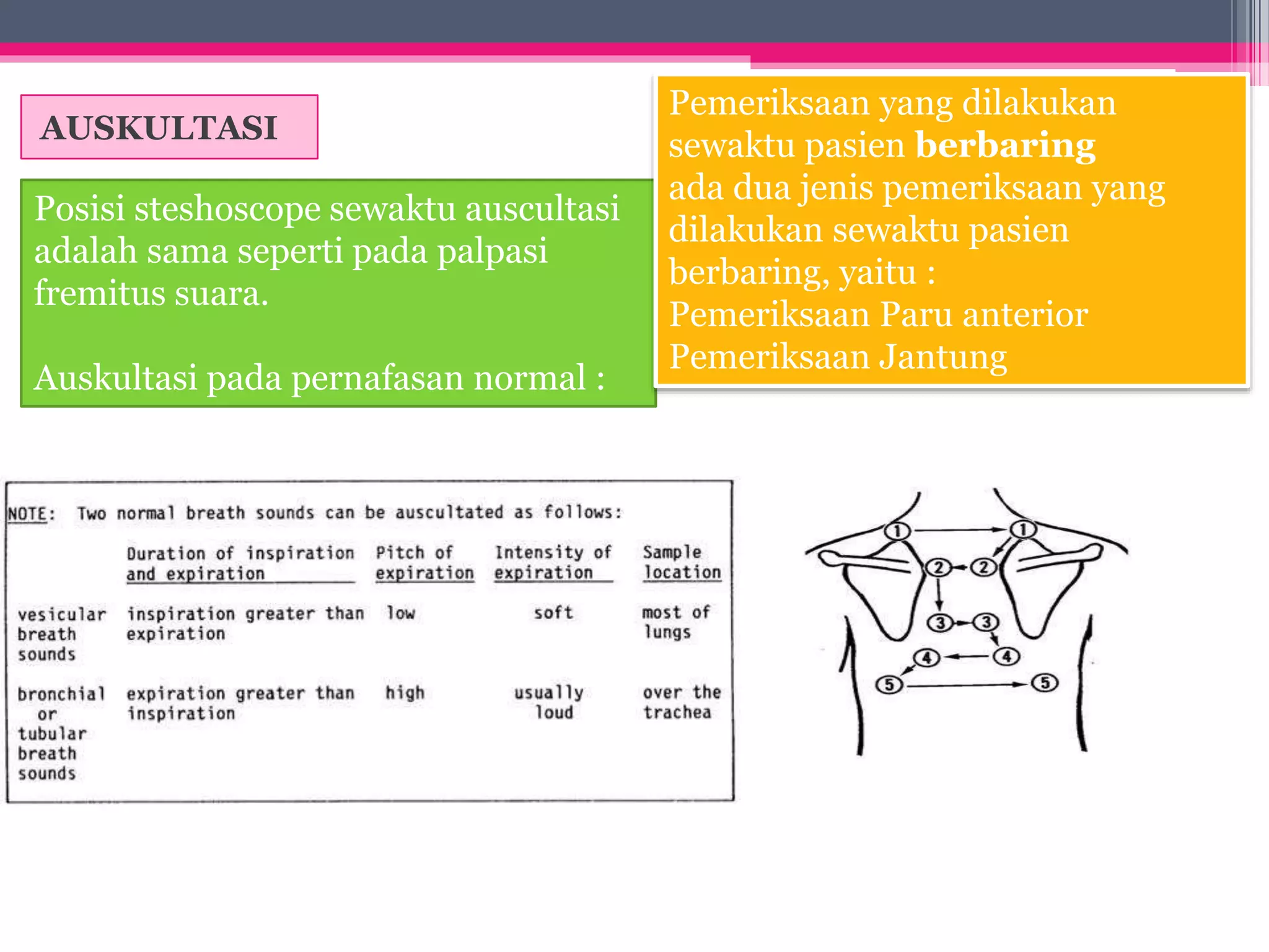 Pemeriksaan fisik thorax | PPTX