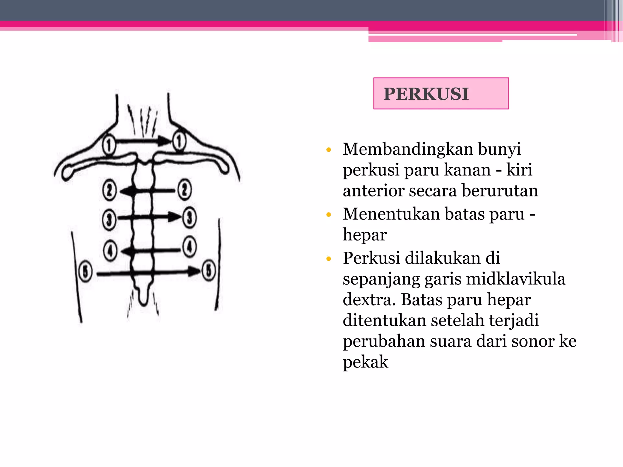 Pemeriksaan fisik thorax | PPTX