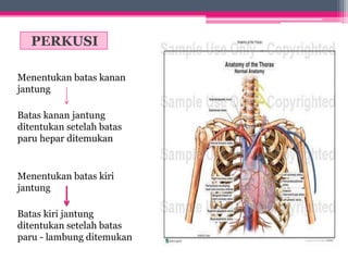 Pemeriksaan fisik thorax | PPTX