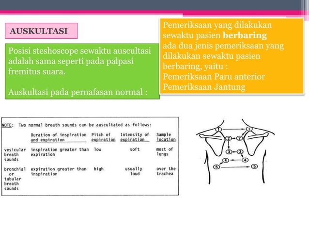 Pemeriksaan fisik thorax | PPTX