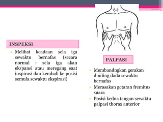 Pemeriksaan fisik thorax | PPTX