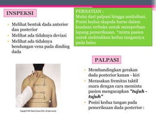 Pemeriksaan fisik thorax