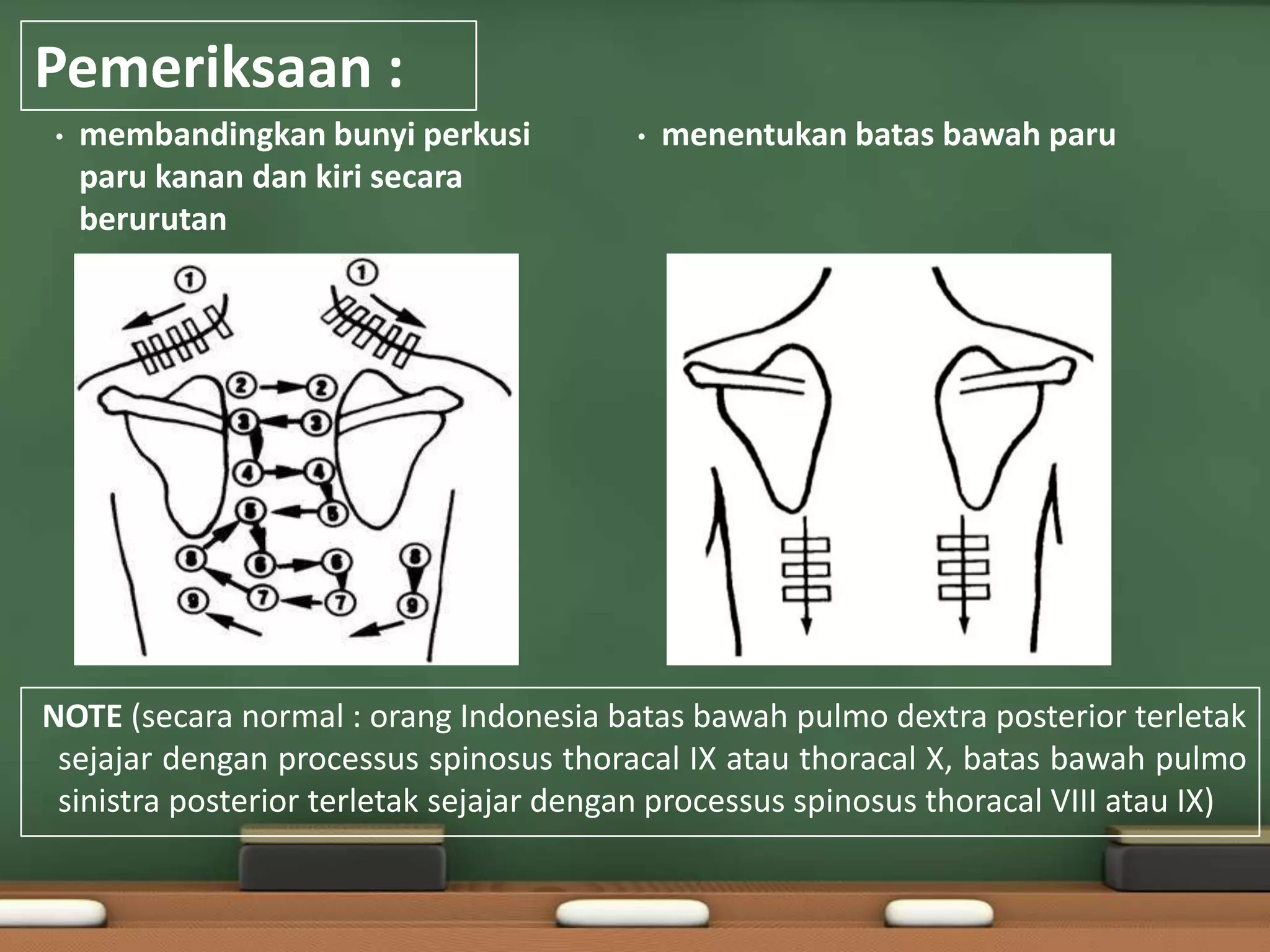 Pemeriksaan fisik thorax, pulmonalis, jantung | PPTX