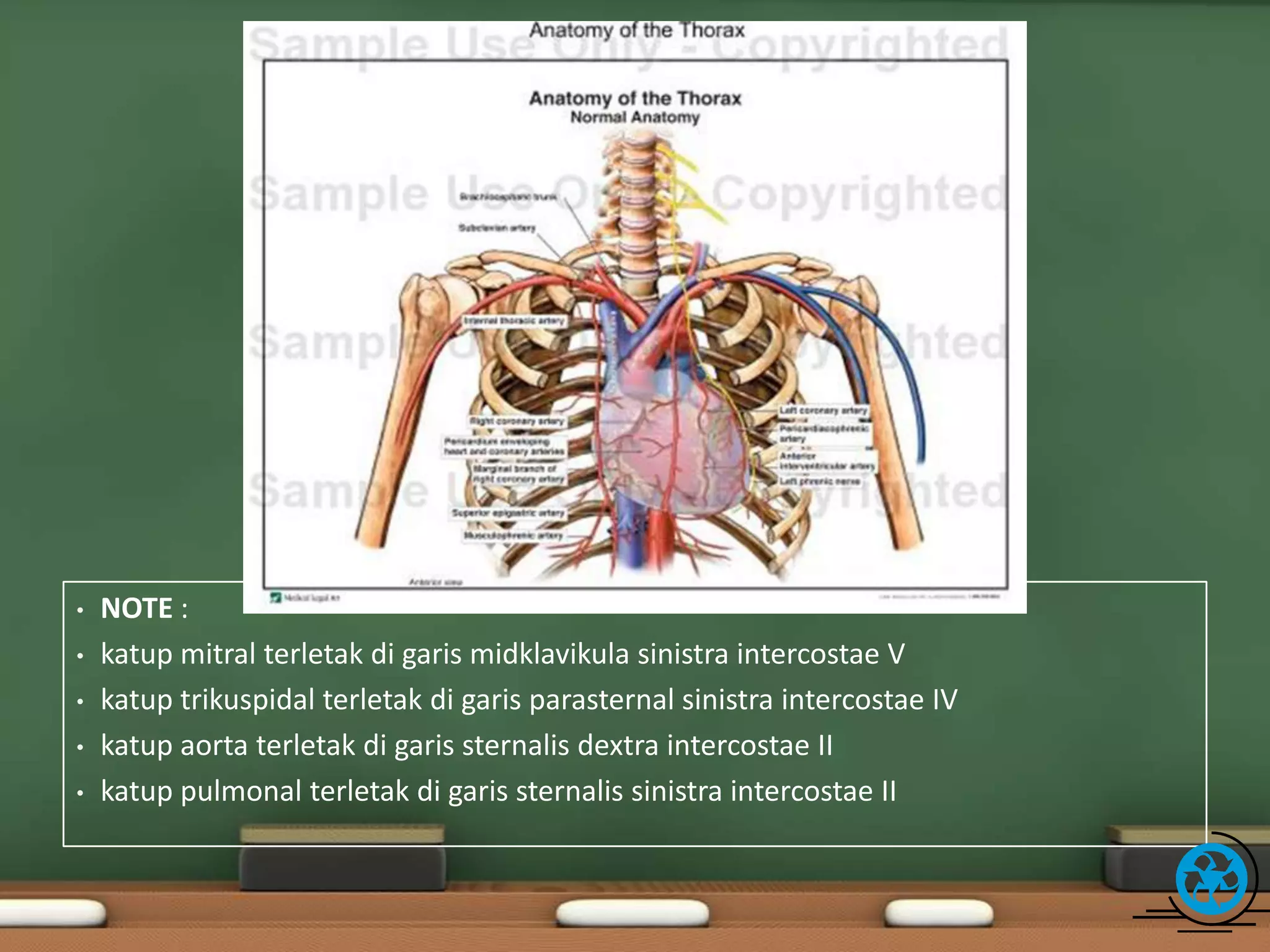Pemeriksaan fisik thorax, pulmonalis, jantung | PPTX