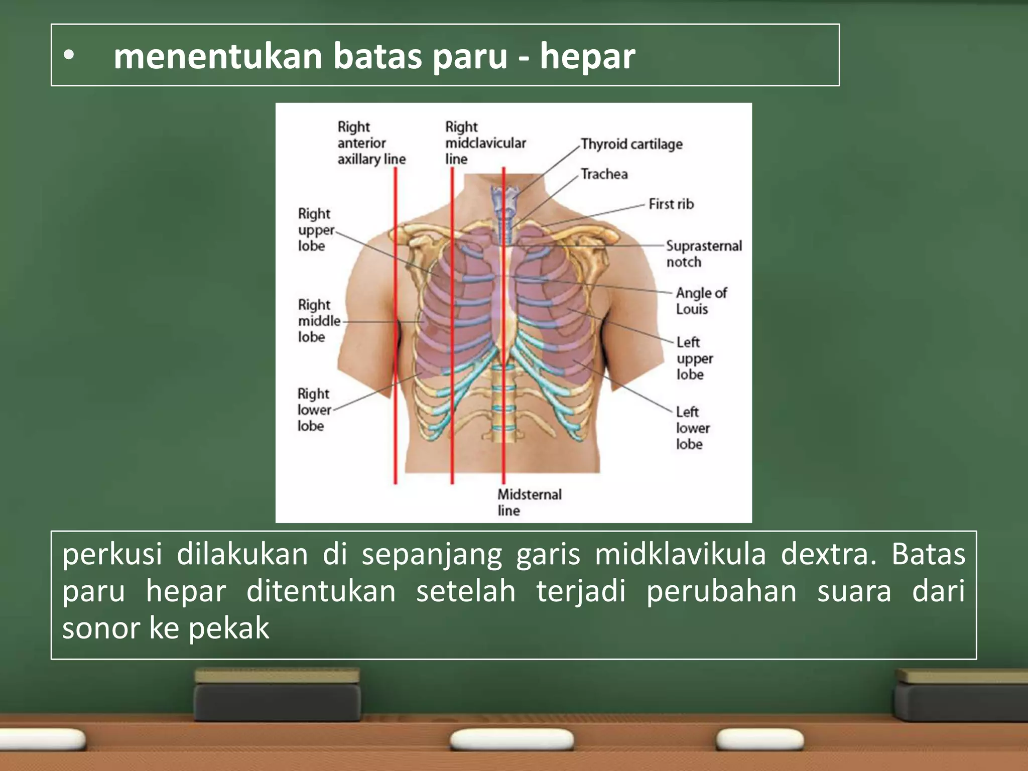 Pemeriksaan fisik thorax, pulmonalis, jantung | PPTX