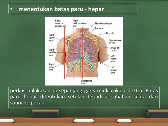Pemeriksaan fisik thorax, pulmonalis, jantung