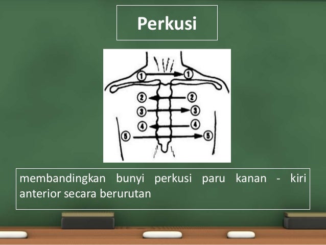 Pemeriksaan fisik thorax, pulmonalis, jantung