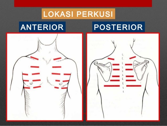 PEMERIKSAAN FIZIKAL SISTEM SALURAN PERNAFASAN