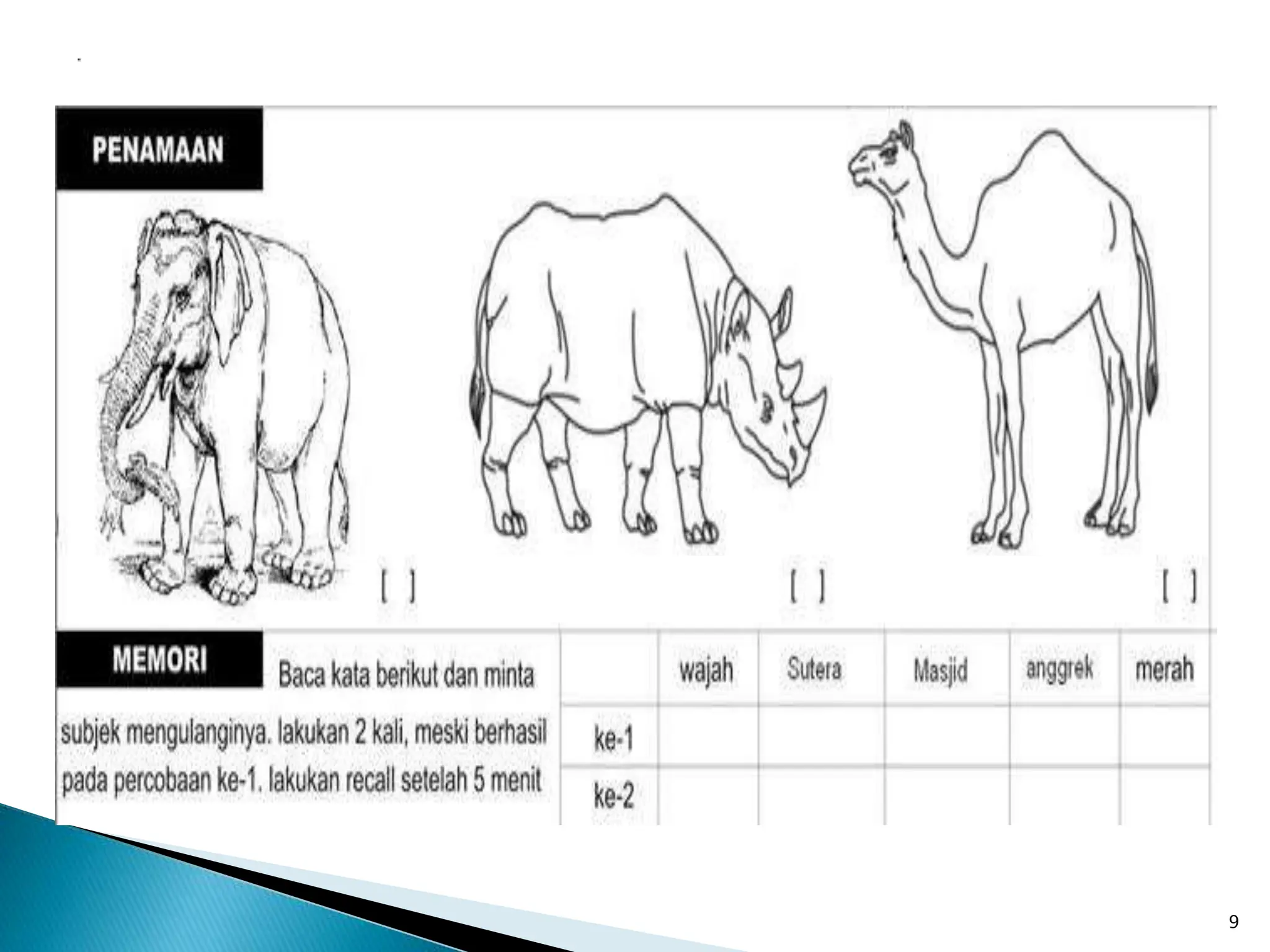 Pemeriksaan Fungsi Luhur yang dapat dilakukan | PPTX