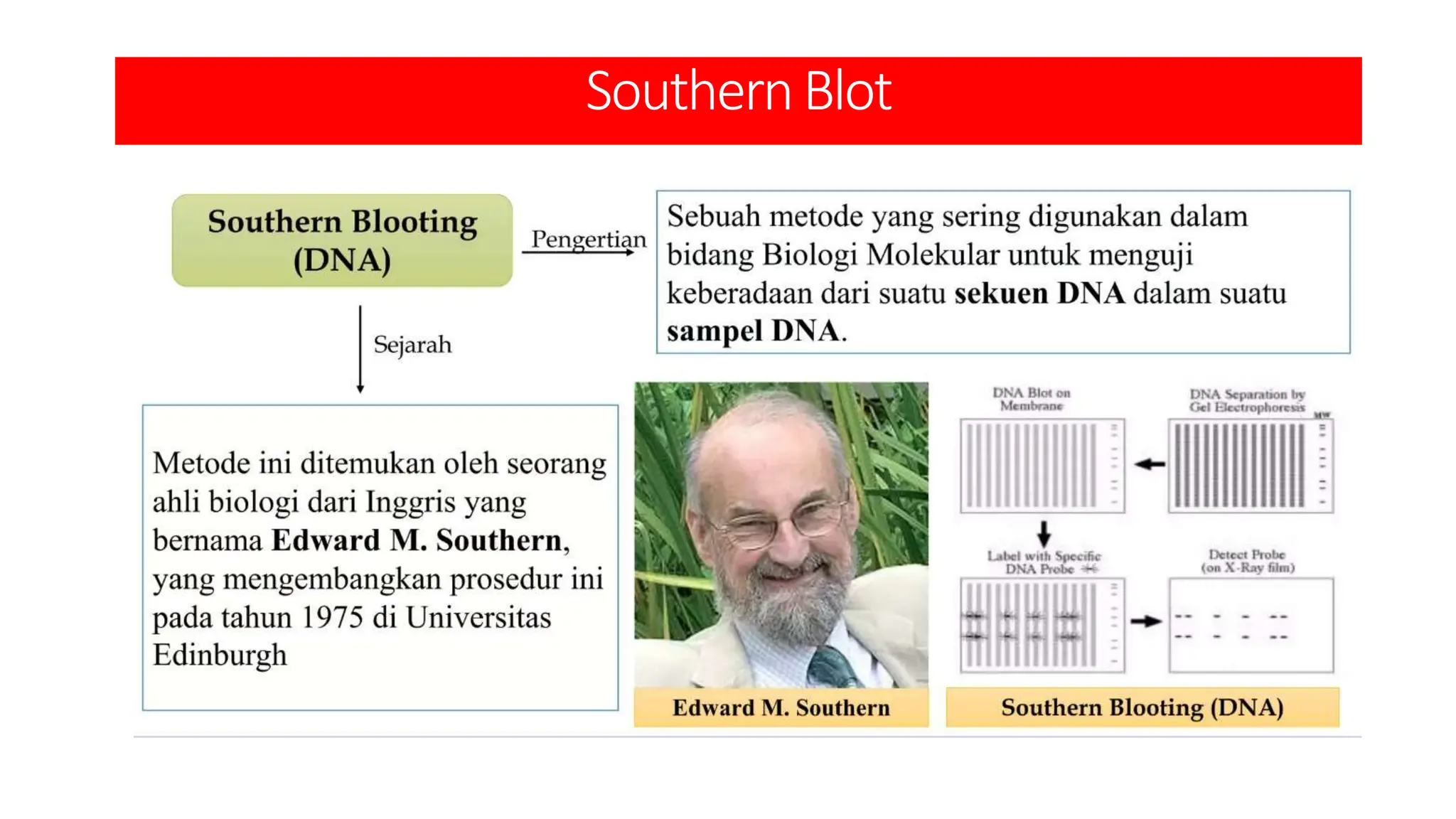 Pemeriksaan Genetik pada DNA, Jenis pemeriksaannya | PPTX