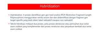 Pemeriksaan Genetik pada DNA, Jenis pemeriksaannya | PPTX