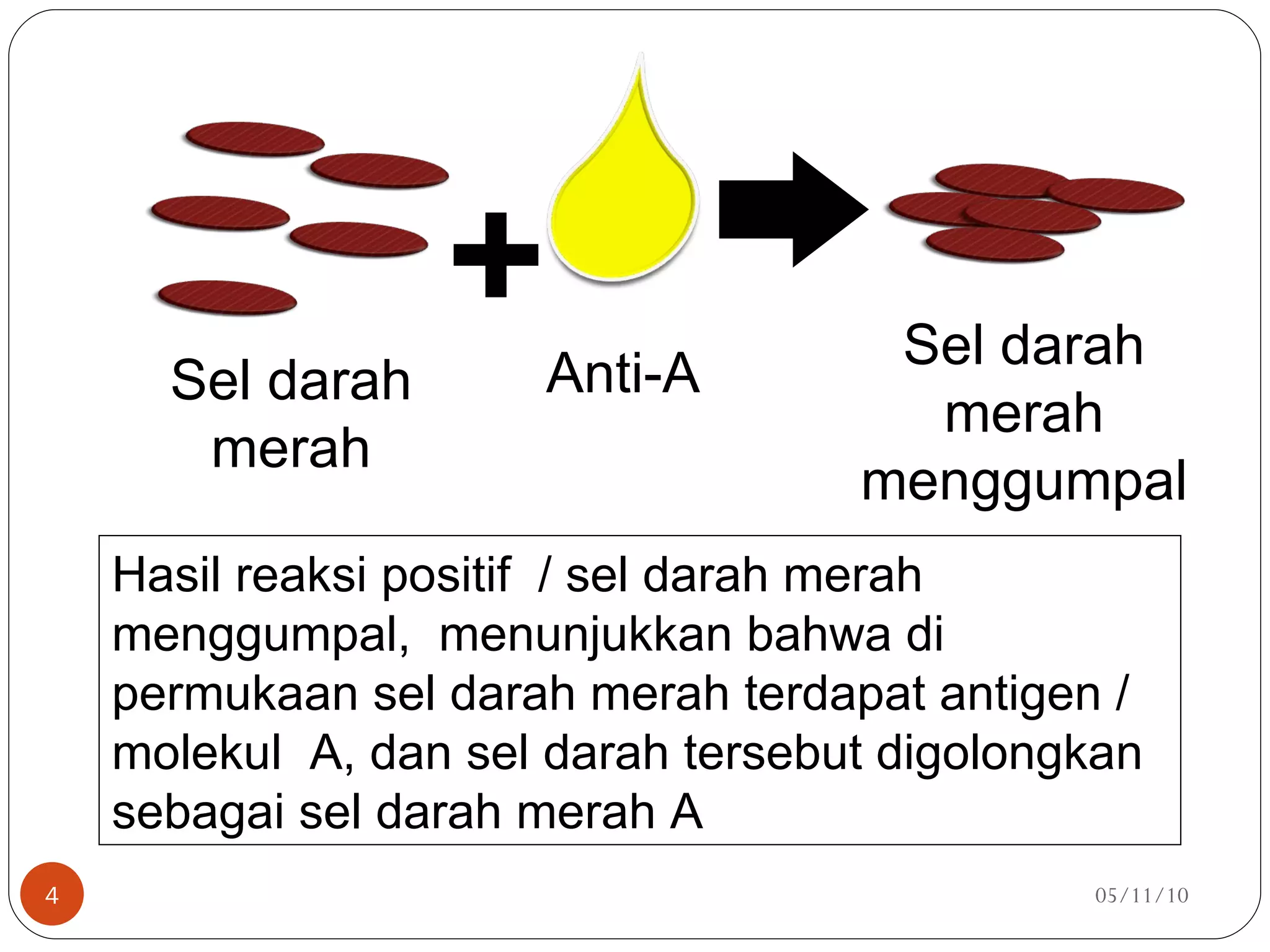 Pemeriksaan Golongan Darah | PPS