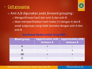 Pemeriksaan Golongan Darah ABO dan Rh | PPTX