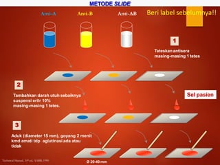Pemeriksaan Golongan Darah ABO dan Rh | PPT