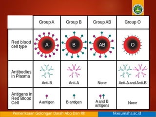 Pemeriksaan Golongan Darah ABO dan Rh | PPTX