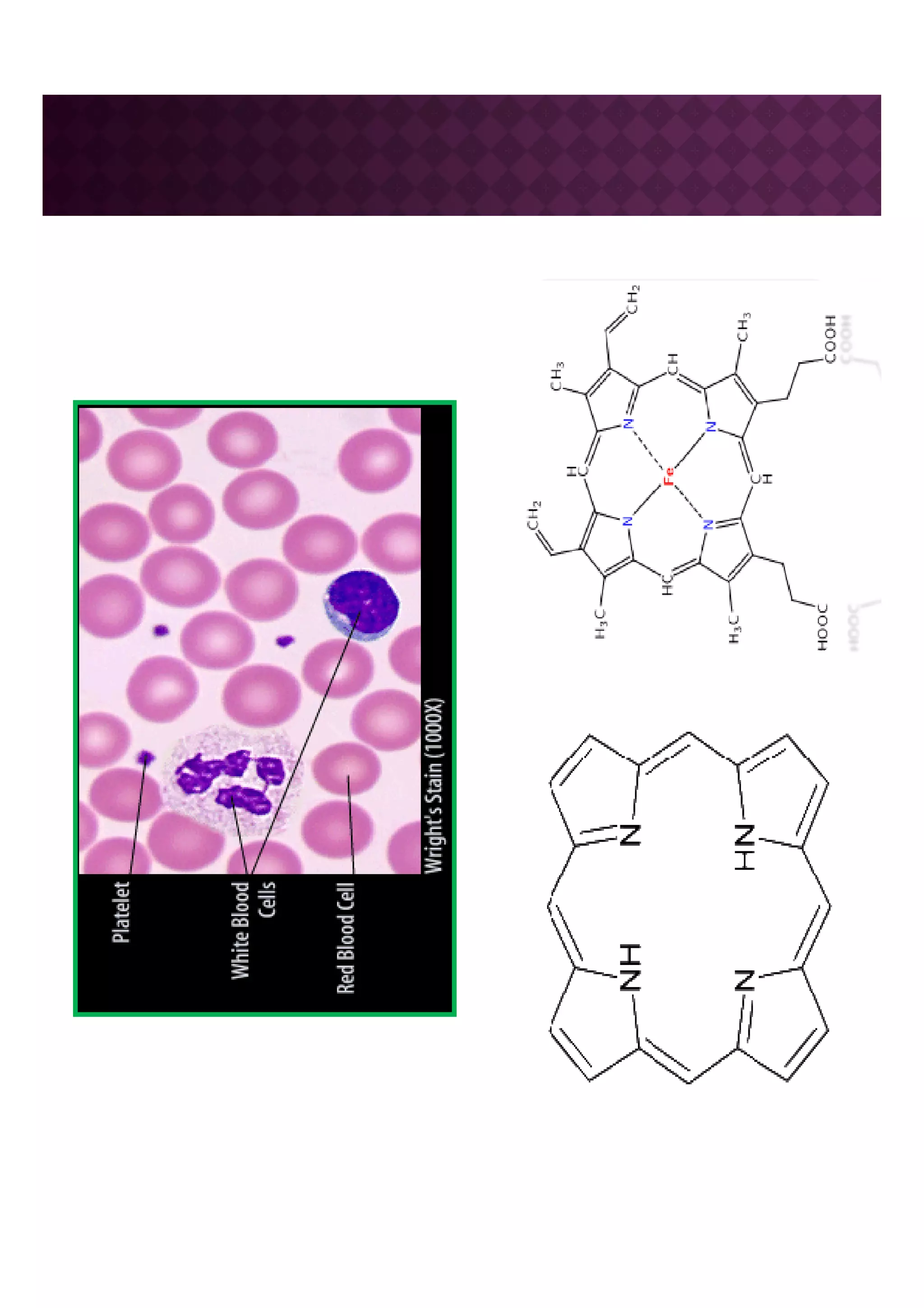Pemeriksaan hematologi (darah rutin) | PDF