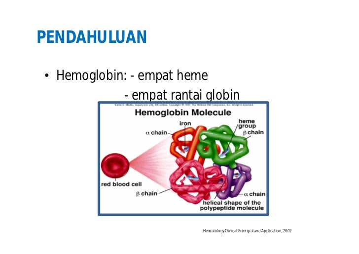 Pemeriksaan hemoglobin fetus (hb f)