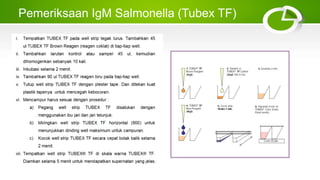Pemeriksaan Imunoserologi.pptx